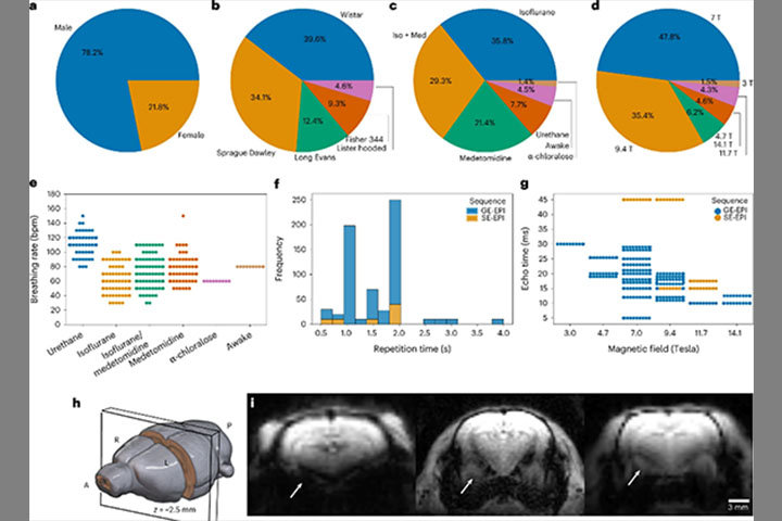 National MagLab - MagLab
