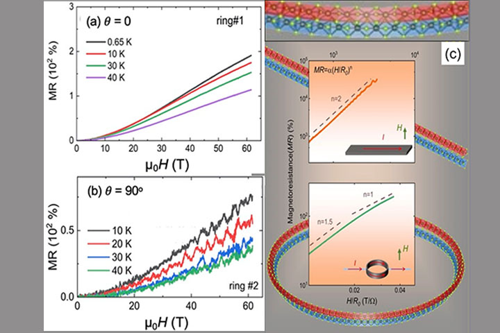 National MagLab - MagLab