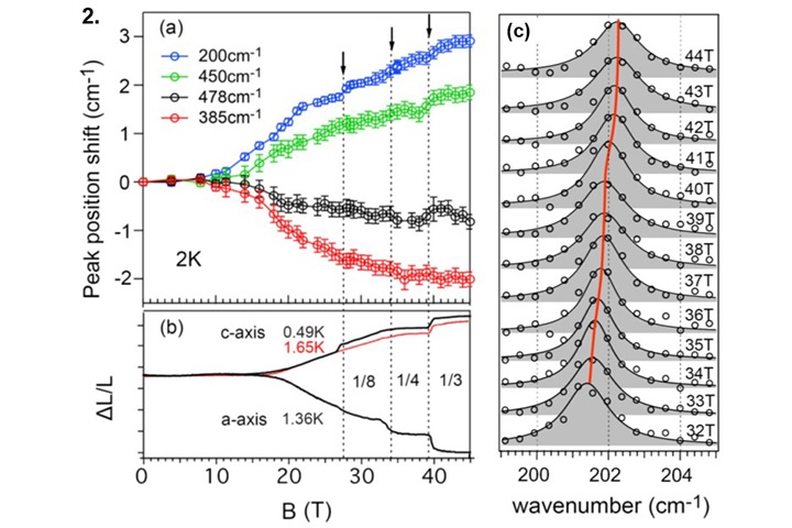 National MagLab - MagLab