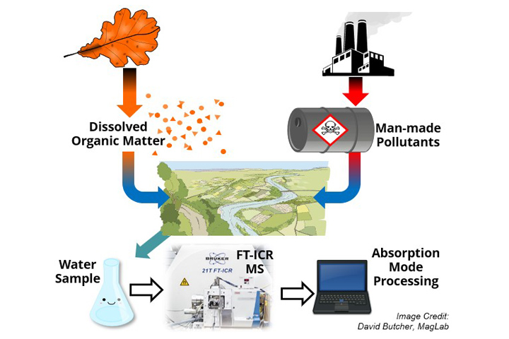 National MagLab - MagLab