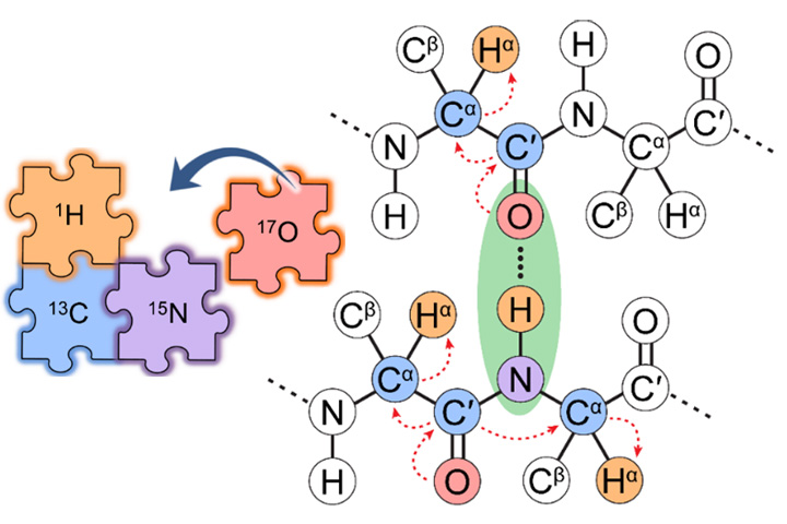 National MagLab - MagLab