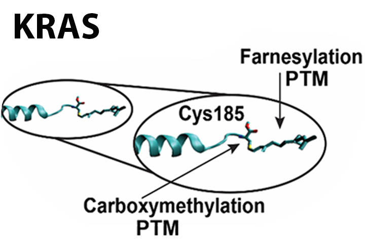 National MagLab - MagLab